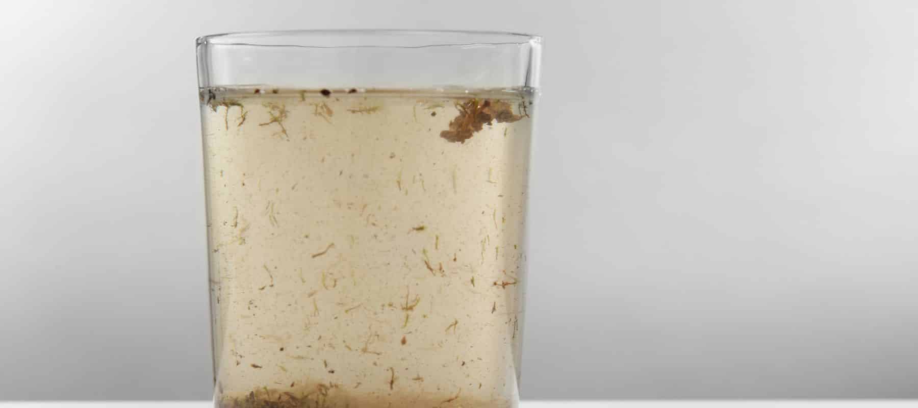 Poor Water Quality Symptoms | Shelton's Water
